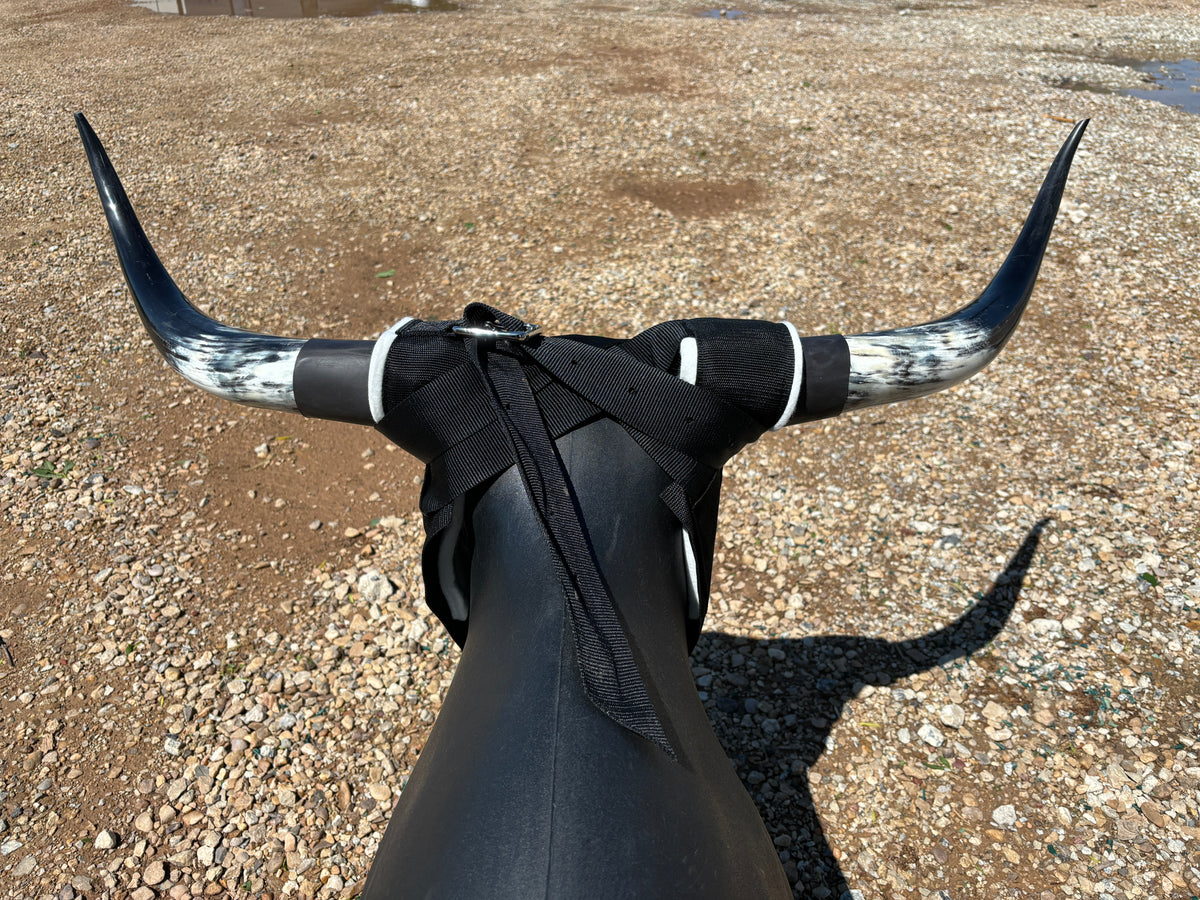 Something Super Horns | 7K Roping