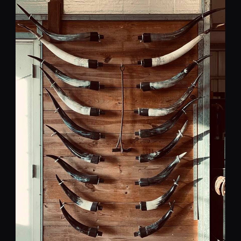 Something Super Horns | 7K Roping