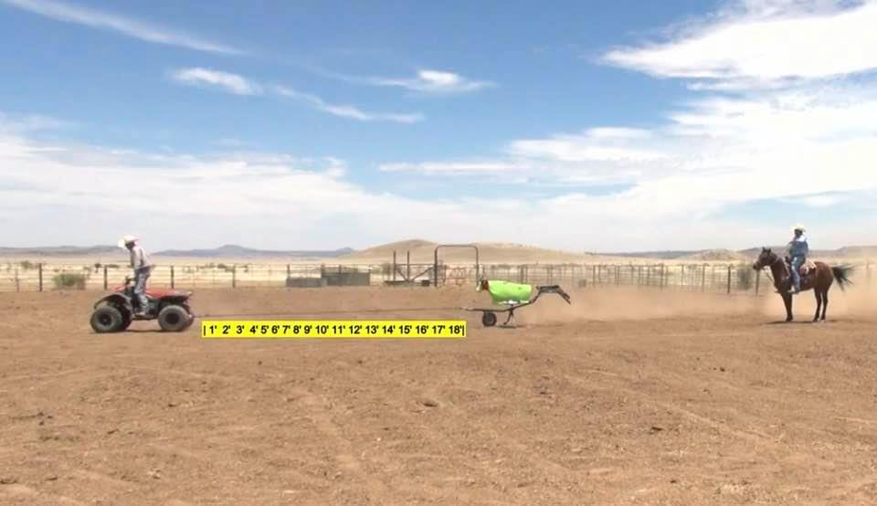 Bad Handle Bungee Sled Tow Rope | 7K Roping