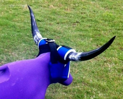 Something Super Horns | 7K Roping